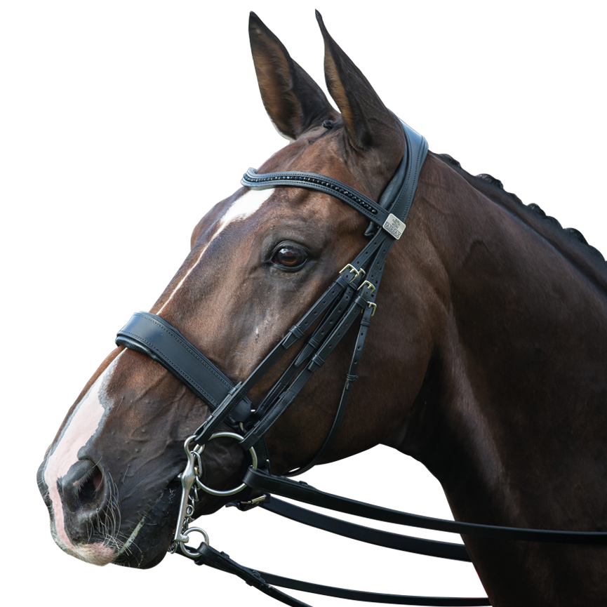 Complete Fairfax Double Bridle with Cavesson Noseband – Fairfax Saddles Ltd
