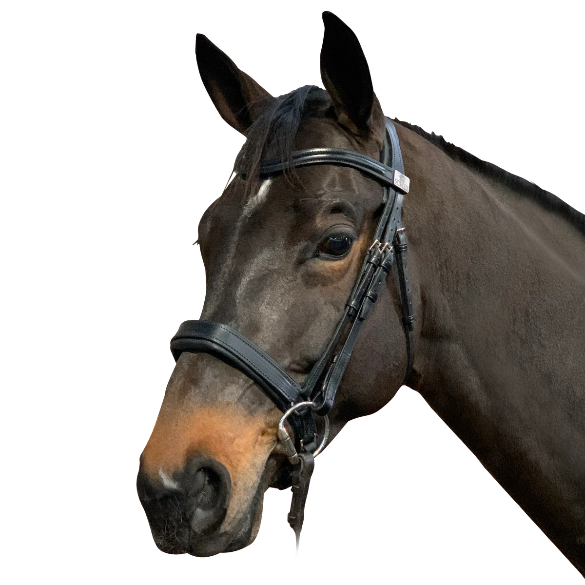 Complete Fairfax Snaffle Bridle with Narrow Cavesson Noseband – Fairfax ...